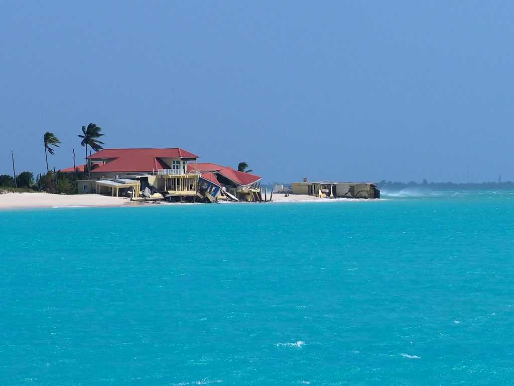 Comment va la nature à Barbuda en 2020? Après Irma...